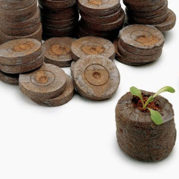 Peat Pellets how To Use Them | Pot Pellets NZ | Soil Pellets NZ
