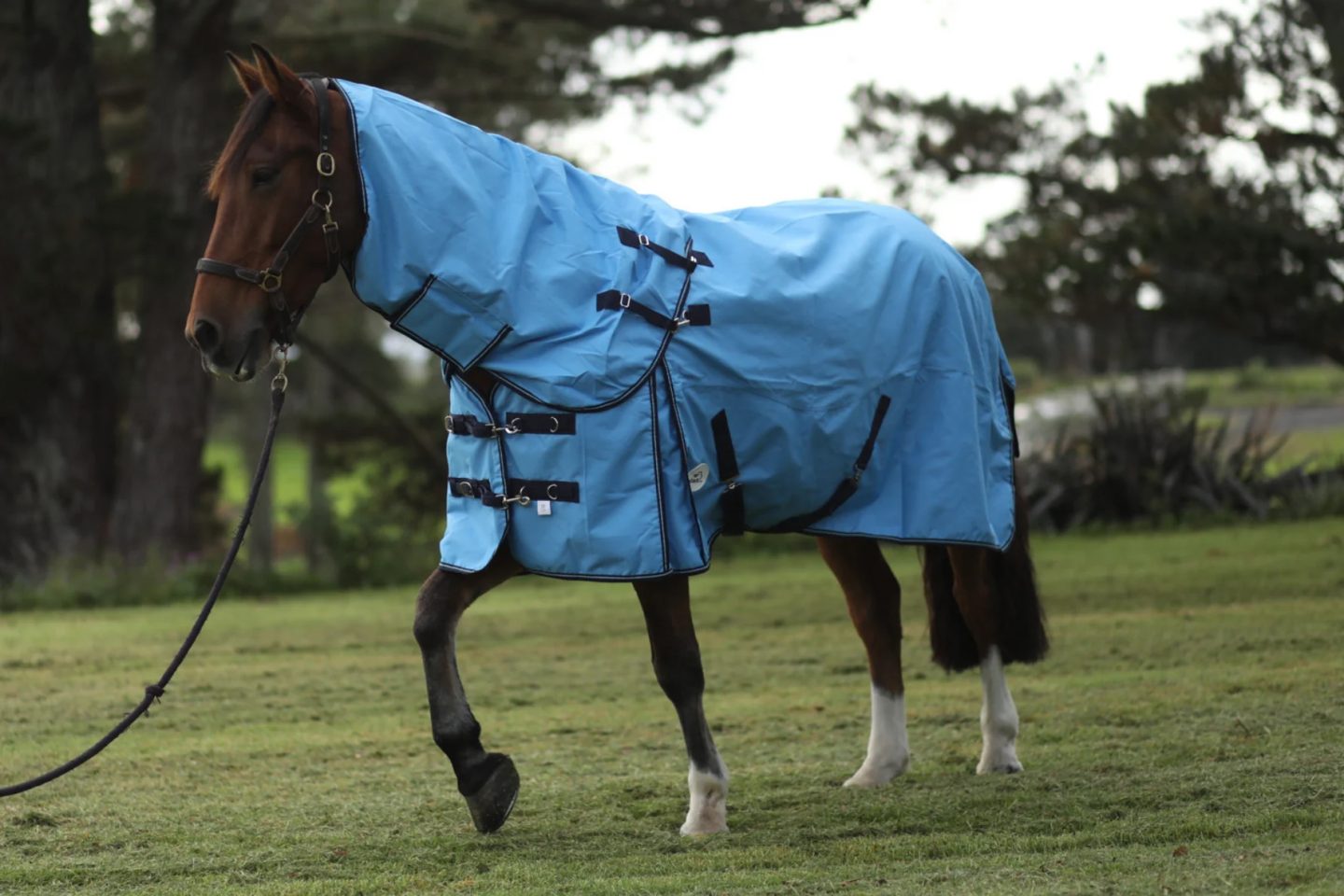 Ultra-Shield 1200D Detacha-Neck Horse Cover - BIOGROW - Organic Growing ...