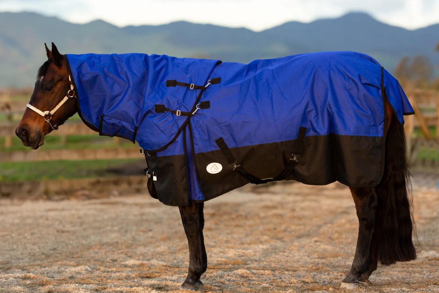 Duke 1200D 200g Detacha-Neck Horse Cover - BIOGROW - Organic Growing ...